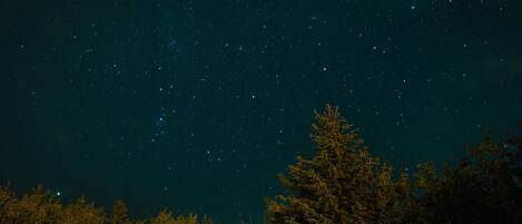 Cabana de Madeira Comfort, pátio, vista para o resort | Terrenos do alojamento