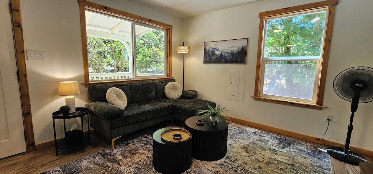 American Alps Cabin-beach, Riverfront, Ev Charger, 2b/1ba, North Cascade, Diablo - North Cascades National Park