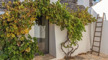 Pormenores do exterior