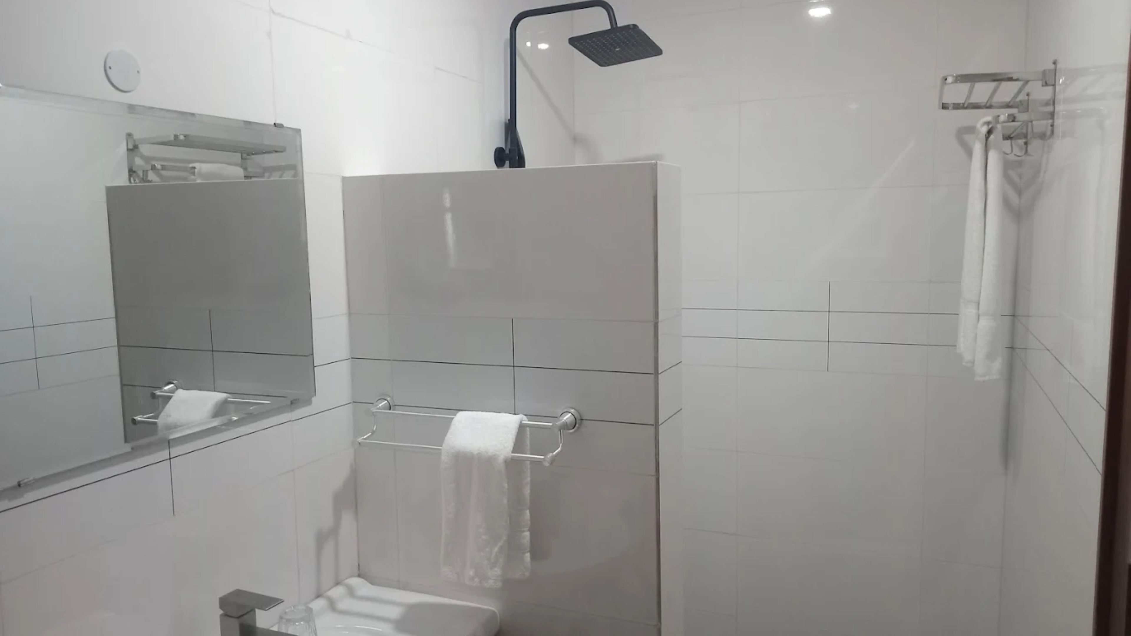 Uma casa de banho moderna com chuveiro, sanita, lavatório e porta-toalhas.