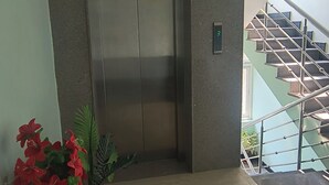 Um elevador em um corredor com uma planta em vaso e uma escada que leva a um andar superior.
