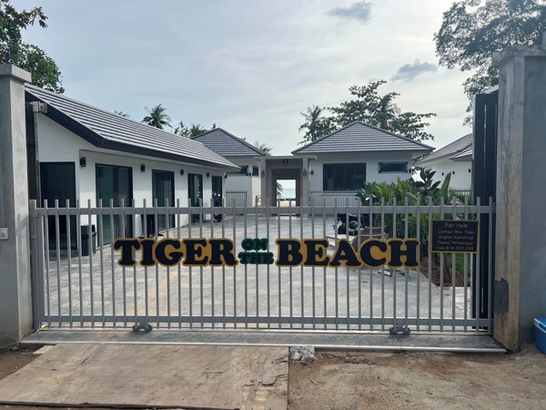 Tiger On The Beach - Ao Nang