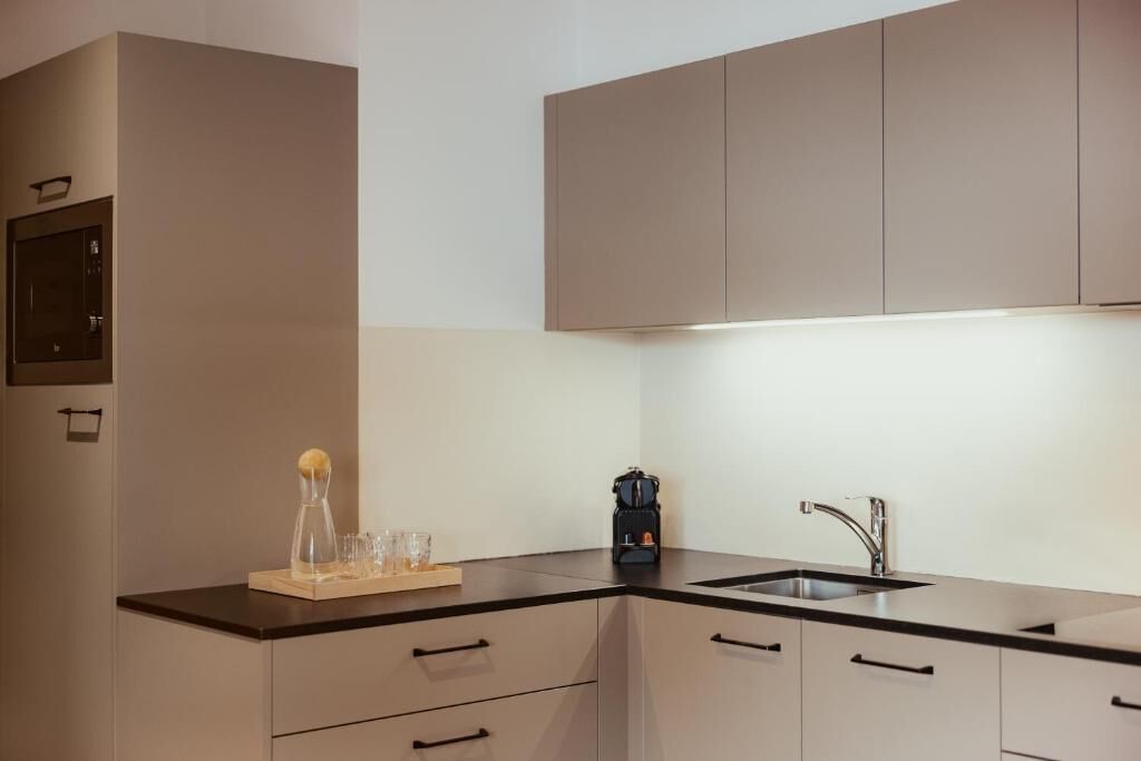 Settsass Panorama Suite | Cozinha privada | Um frigorífico, um micro-ondas, uma placa de cozinha 