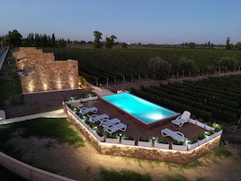 Piscina rodeada por espreguiçadeiras e uma parede de pedra, com vinhedos ao fundo.