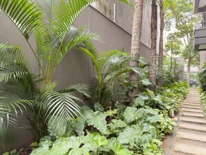 Um jardim com diversas plantas, um muro de concreto e um caminho de pedra.