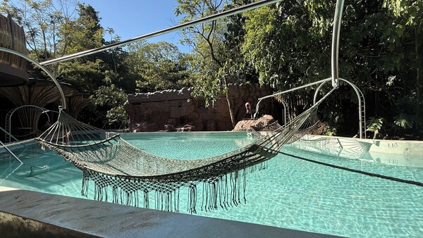 Entre Arboles Iguazu, Singular Collection By Amerian - Puerto Iguazú