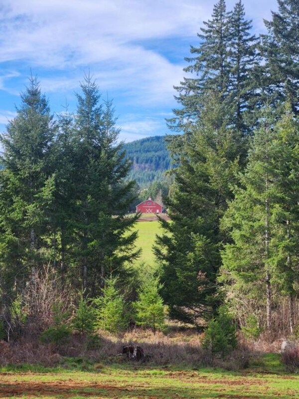Darlingwood - Oregon