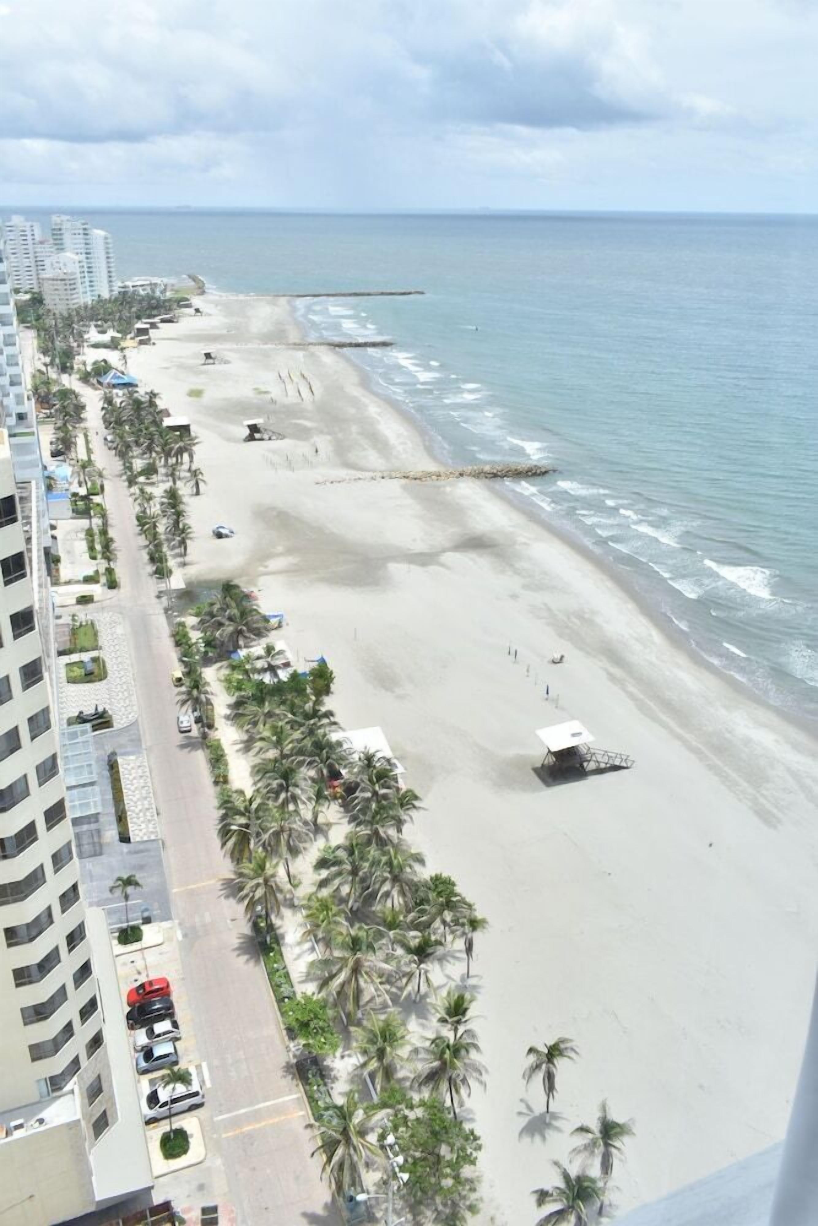 Uma praia com uma fileira de palmeiras e um edifício com vários andares à esquerda.