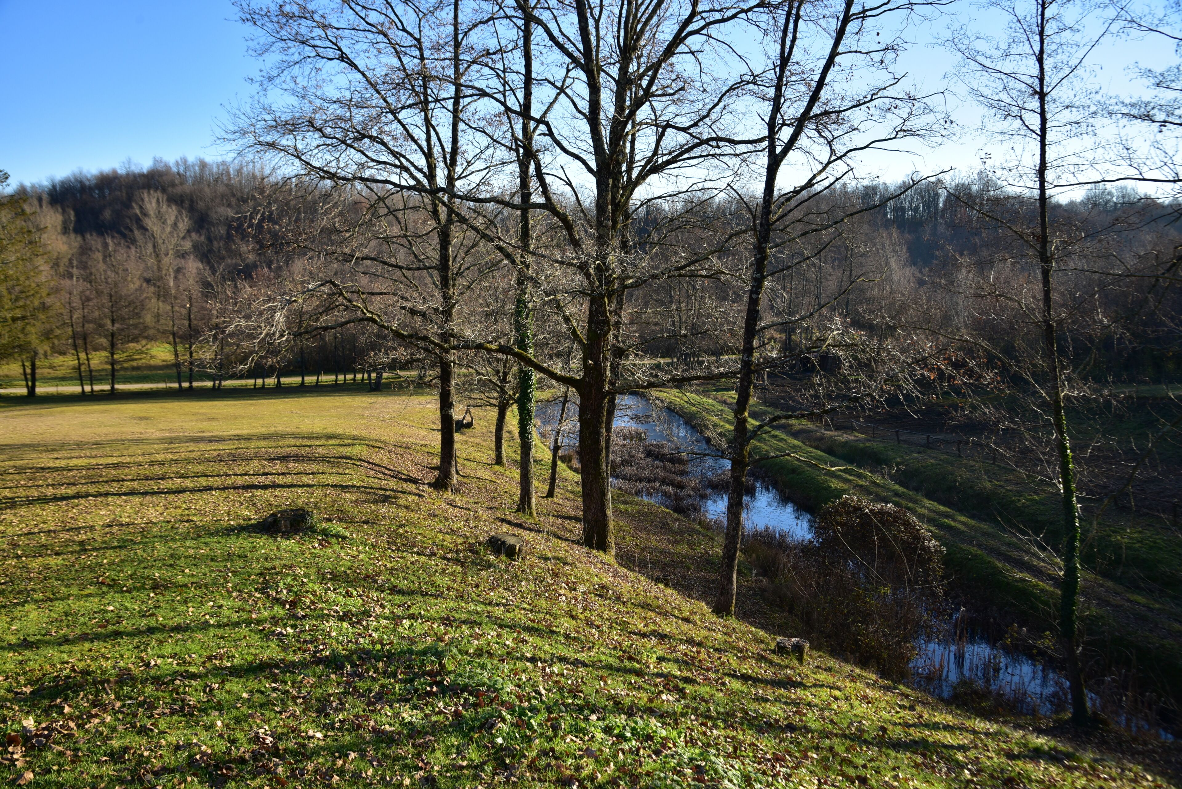 Um campo gramado com árvores e uma pequena massa de água.