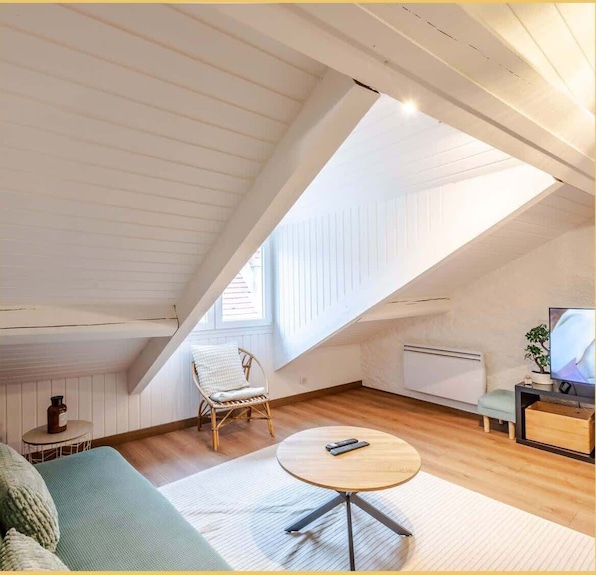 Chez Noé I T2 I Thonon - ibis Thonon Centre