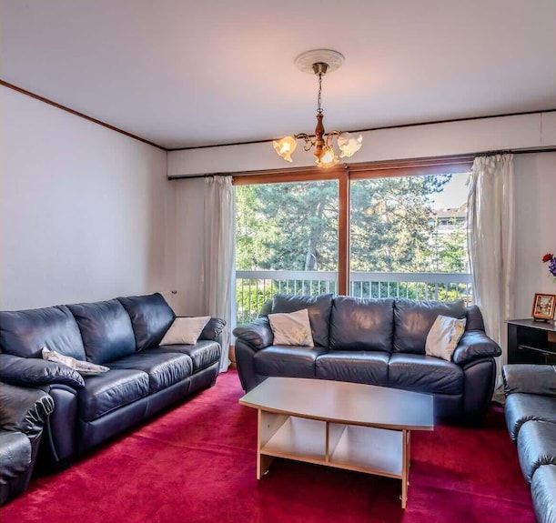 Chez Driss I T3 I Annecy - Annecy