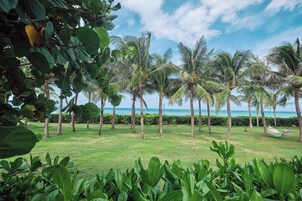 Um jardim tropical com palmeiras e vista para o oceano.