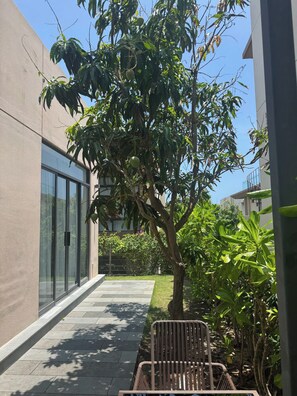 Terraço/pátio interior