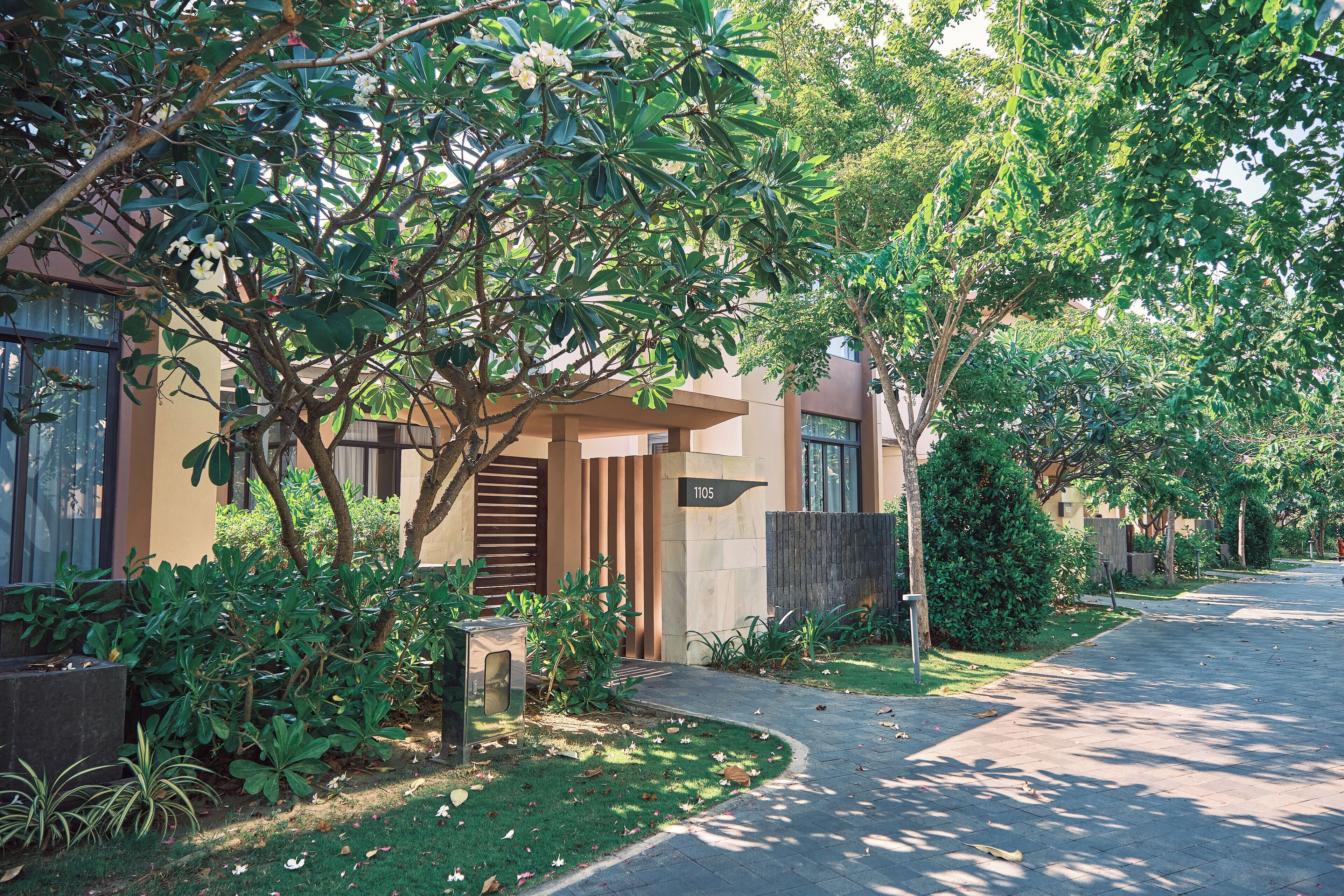 Rua residencial com casas, calçada e vegetação exuberante.
