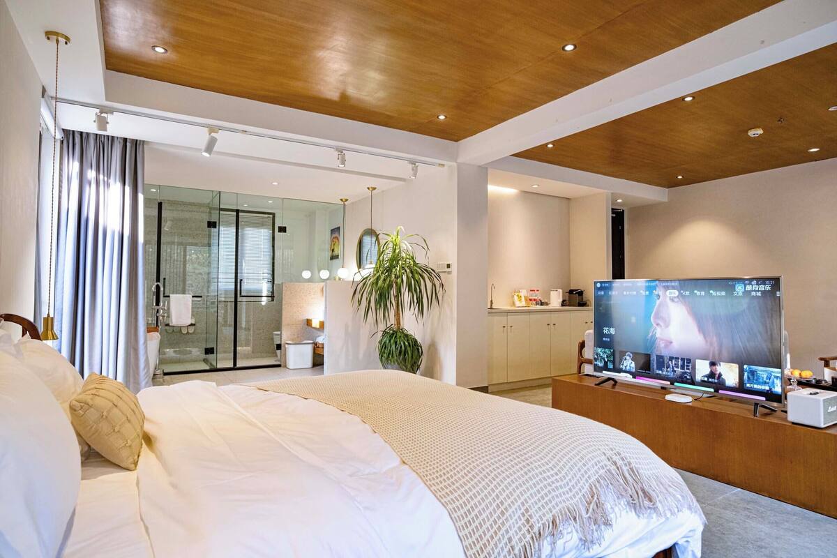 Quarto de hotel moderno com uma cama grande, uma televisão, uma planta e área de duche em vidro.
