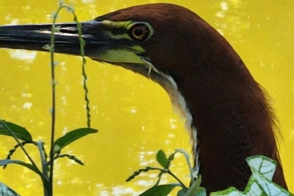 Pousada Bom Jardim - Mato Grosso (estado)