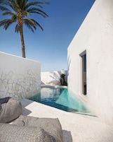 Área de piscina com muro de pedra, uma palmeira e um prédio branco com janela.