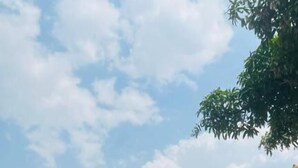 Uma casa de dois andares com telhado de telhas, escada e área externa coberta com plantas.
