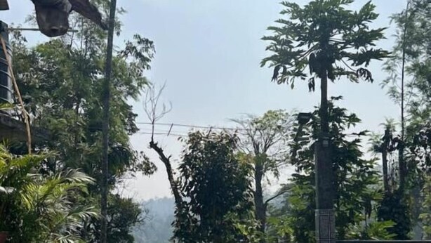 Piscina com vista para árvores e céu limpo.