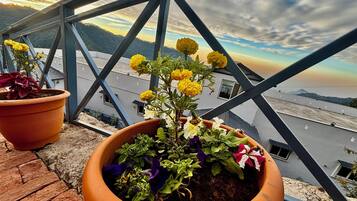 Pormenores do exterior