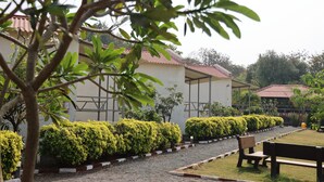 Uma área de jardim com sebes bem aparadas, um caminho de cascalho e um banco.