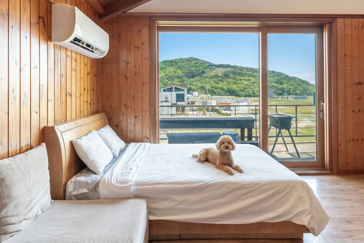 Um quarto com cama, um sofá pequeno, um cão e uma janela grande com vista para uma paisagem verde.