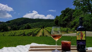 Uma mesa com uma garrafa e um copo de vinho, com um vinhedo ao fundo.