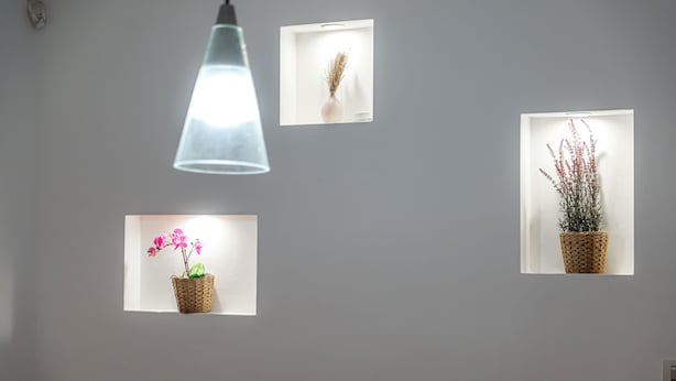 Paredes com três quadros de plantas e um lustre pendurado.