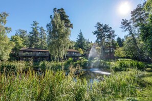 Terrenos do alojamento