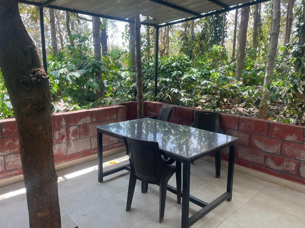 Pátio externo com mesa e cadeiras de vidro, rodeado por um muro de tijolos e vegetação.