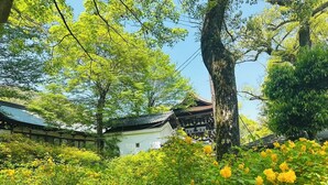 Um edifício japonês tradicional rodeado por vegetação exuberante e flores amarelas.