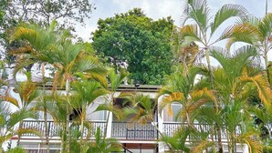 Um edifício de dois andares com uma escadaria que leva a uma varanda, cercado por palmeiras.