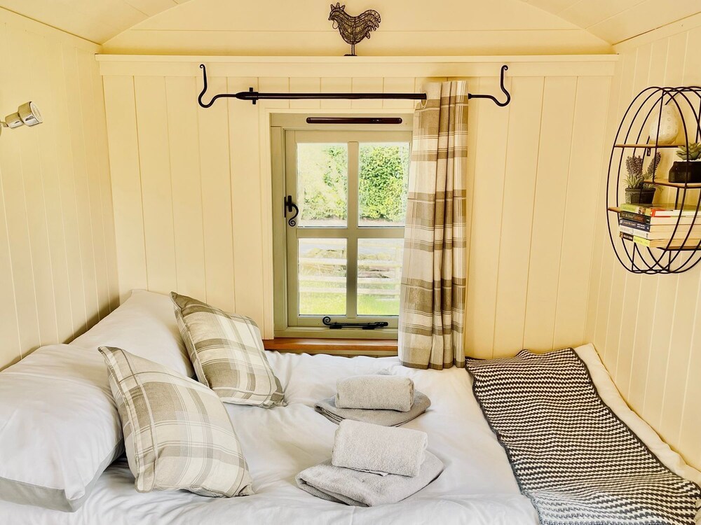 CWT TYDDYN SHEPHERD'S HUT, pet friendly in Cerrigydrudion - Cerrig-y ...
