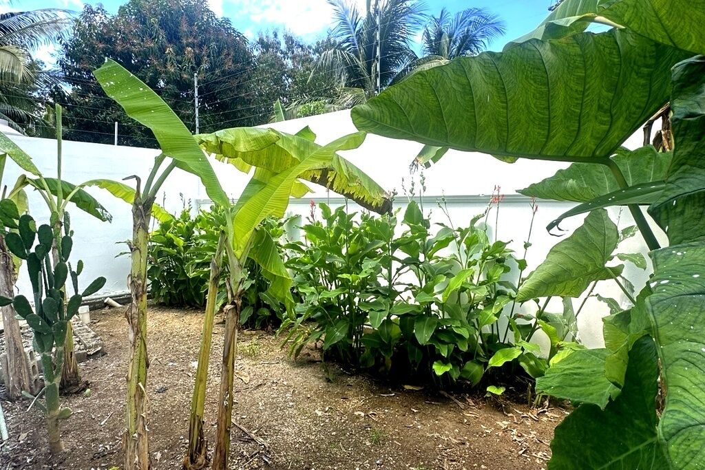 Área da propriedade