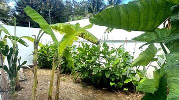 Área da propriedade