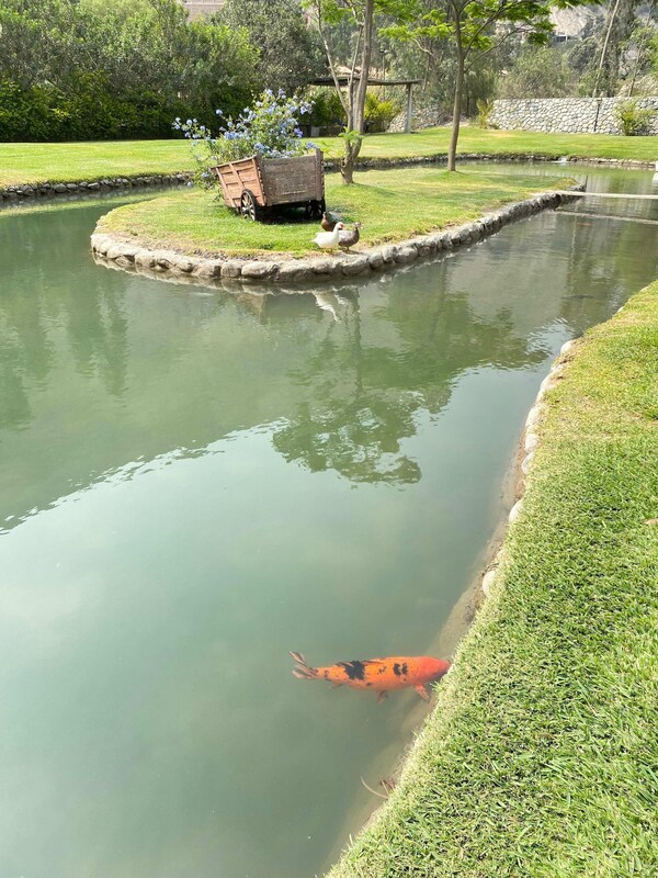 W Spacious 5br Retreat Pool Bbq Games - Santa Eulalia, Perou