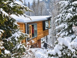 Uma cabana de madeira com porta e janela de vidro, rodeada por árvores cobertas de neve.