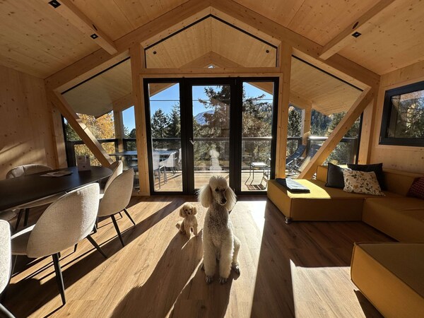 Superior Chalet With Sauna & Hot Tub - Carinthia