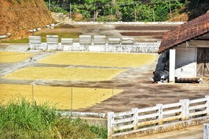 Terrenos do alojamento