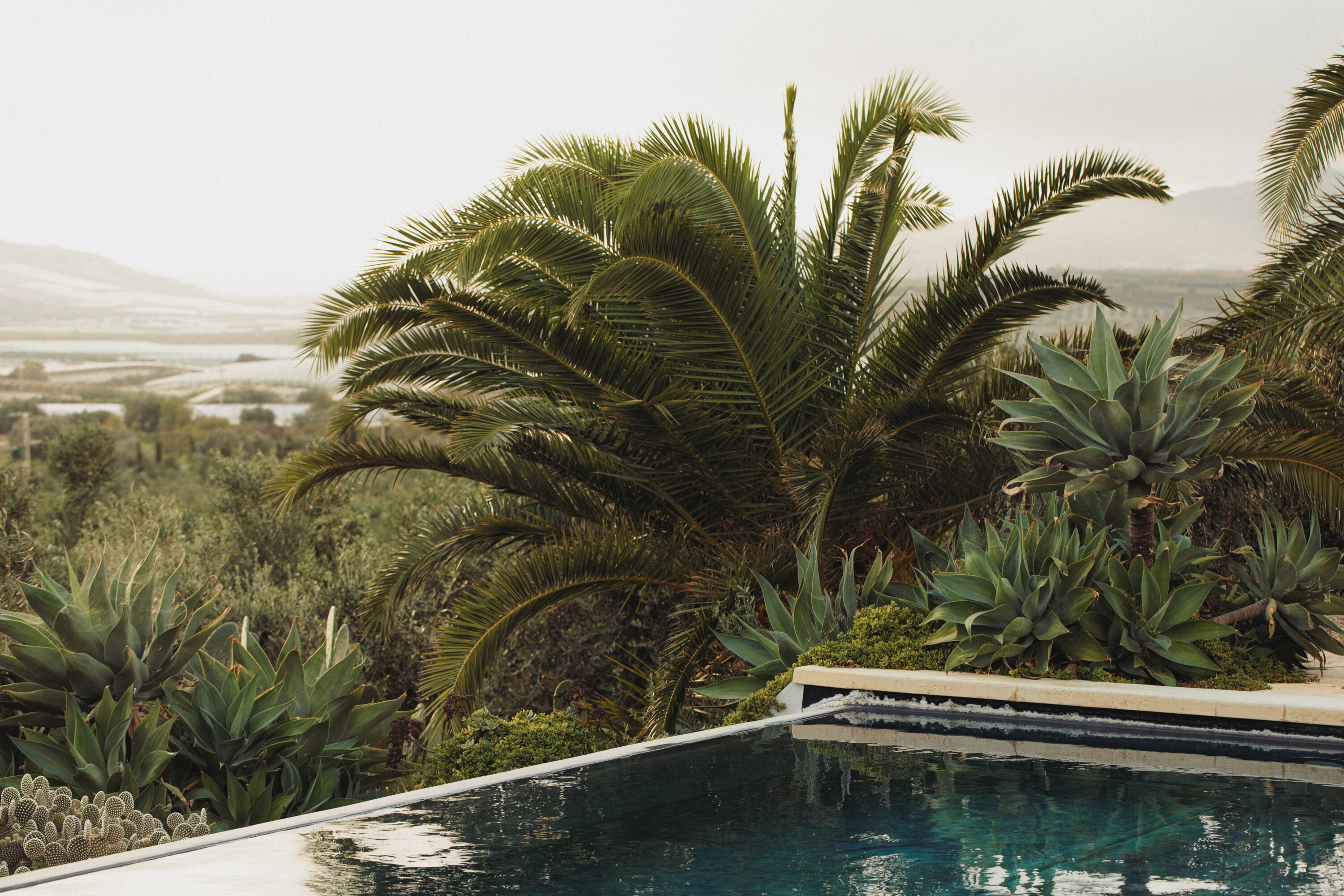 Villa, pátio, vista para o jardim | Piscina