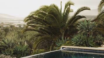 Villa, pátio, vista para o jardim | Piscina