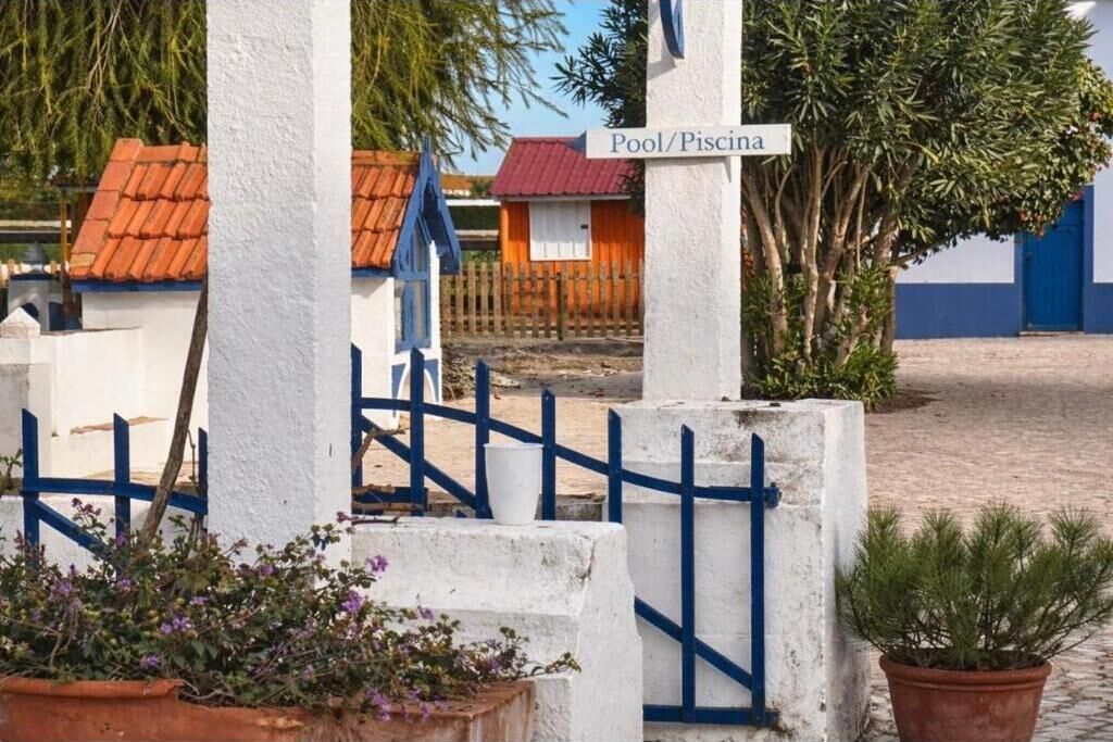Uma área de piscina com um aviso, paredes brancas, portões azuis e plantas em vasos.