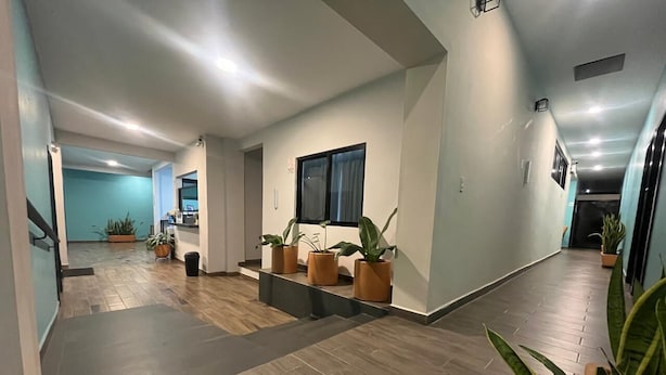 Um corredor com piso de madeira, plantas em vasos, uma janela e uma escada.