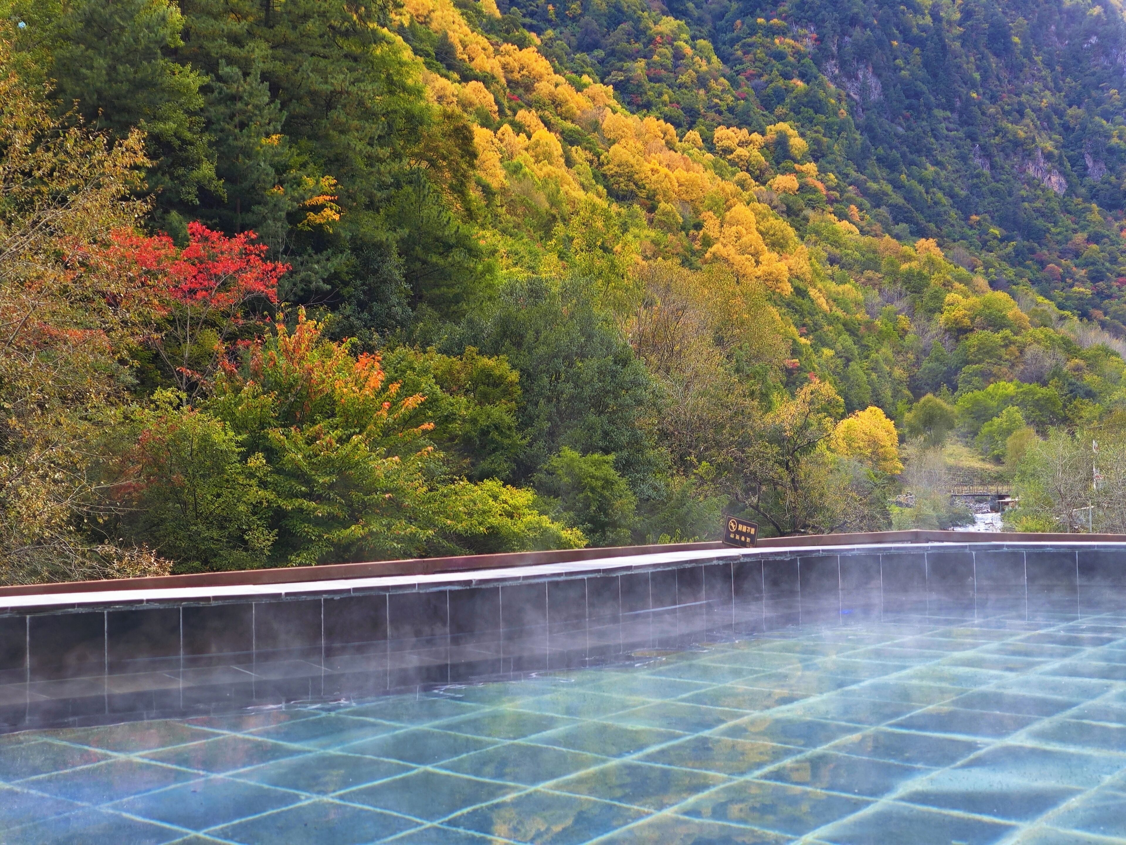 Piscina com vista para uma encosta arborizada.