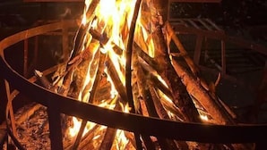 Fogueira em braseiro metálico, rodeada por vegetação.