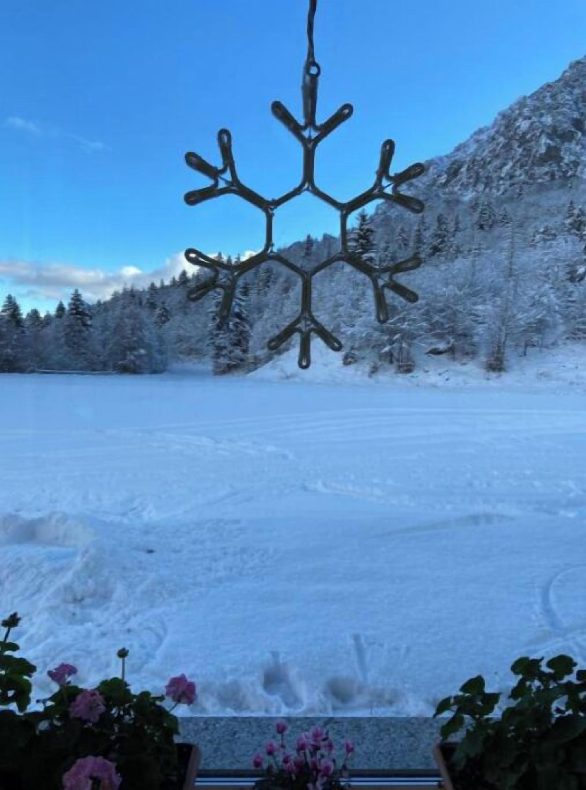 Paisagem coberta de neve com um enfeite pendurado.