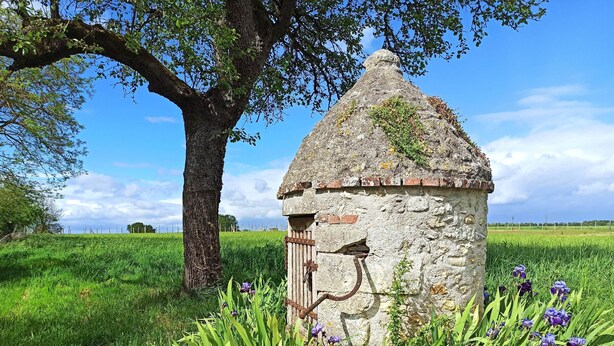 Uma construção de pedra com telhado de palha, rodeada por grama verde exuberante e flores roxas, com uma grande árvore à esquerda.