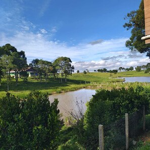 Paisagem rural com um lago, campos verdes e algumas casas.