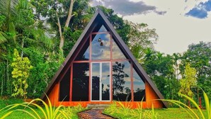 Um edifício moderno triangular com grandes janelas, rodeado por vegetação exuberante e um caminho que leva a ele.