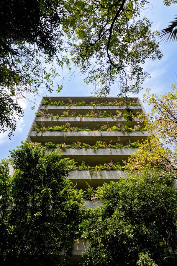 Lulu Condesa By Capitalia - Mexico City